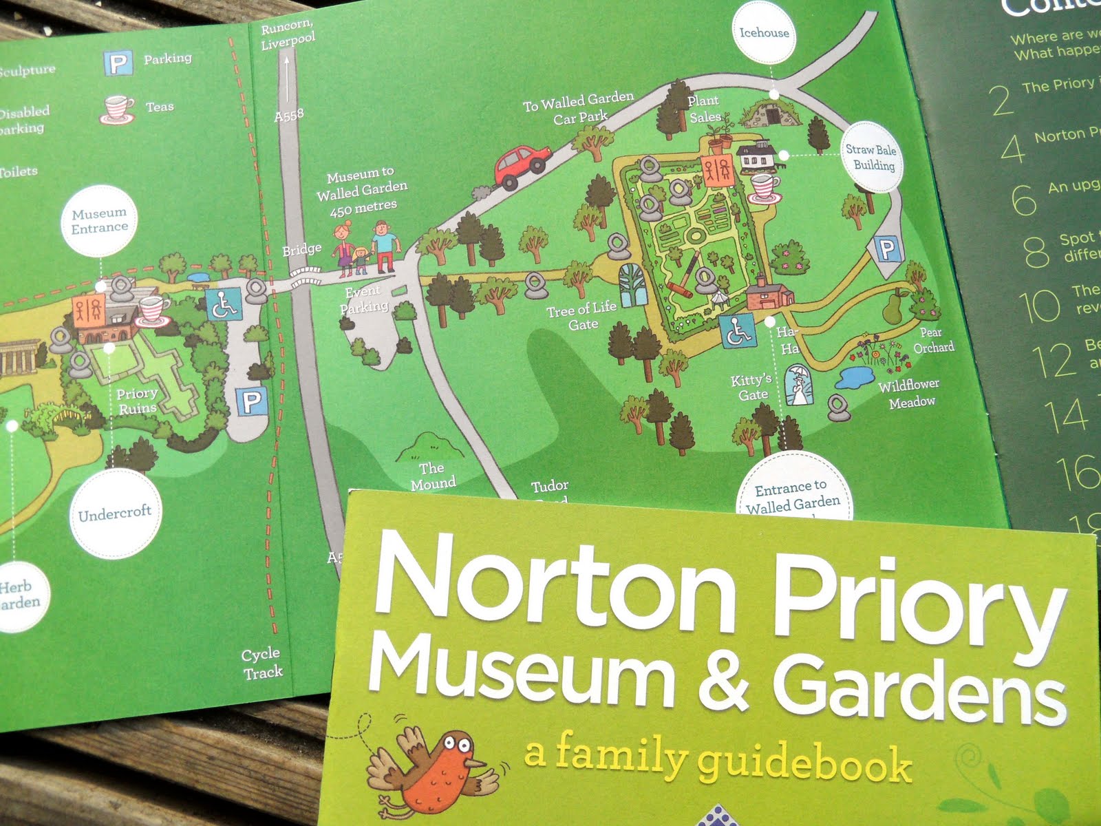 Sophie Foster Illustration: Norton Priory Gardens