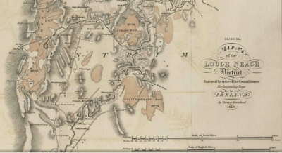 NC Plant Conservation & Beyond