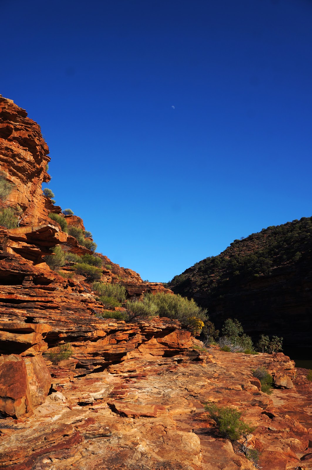 The Loop Walk (Kalbarri National Park) ~ The Long Way's Better