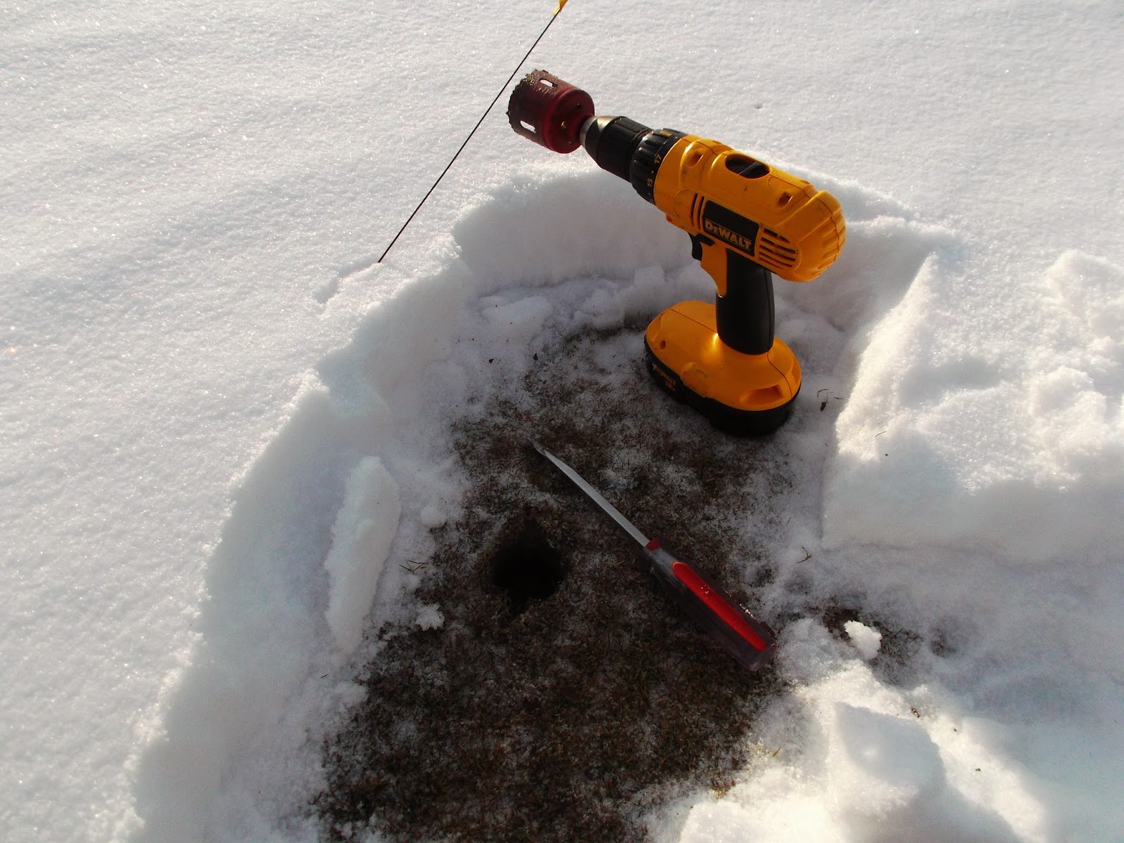 St. Clair Country Club Golf Course Maintenance: Green Core Samples