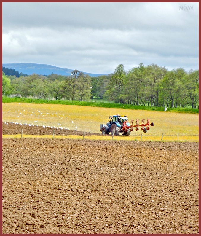 Where Five Valleys Meet: Toot toot, chuff-chuff - off we go......