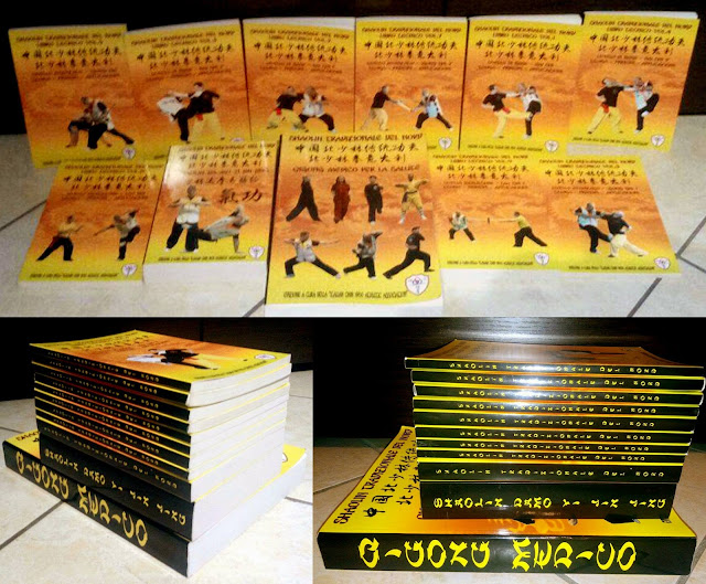 Shaolin KungFu Tradizionale