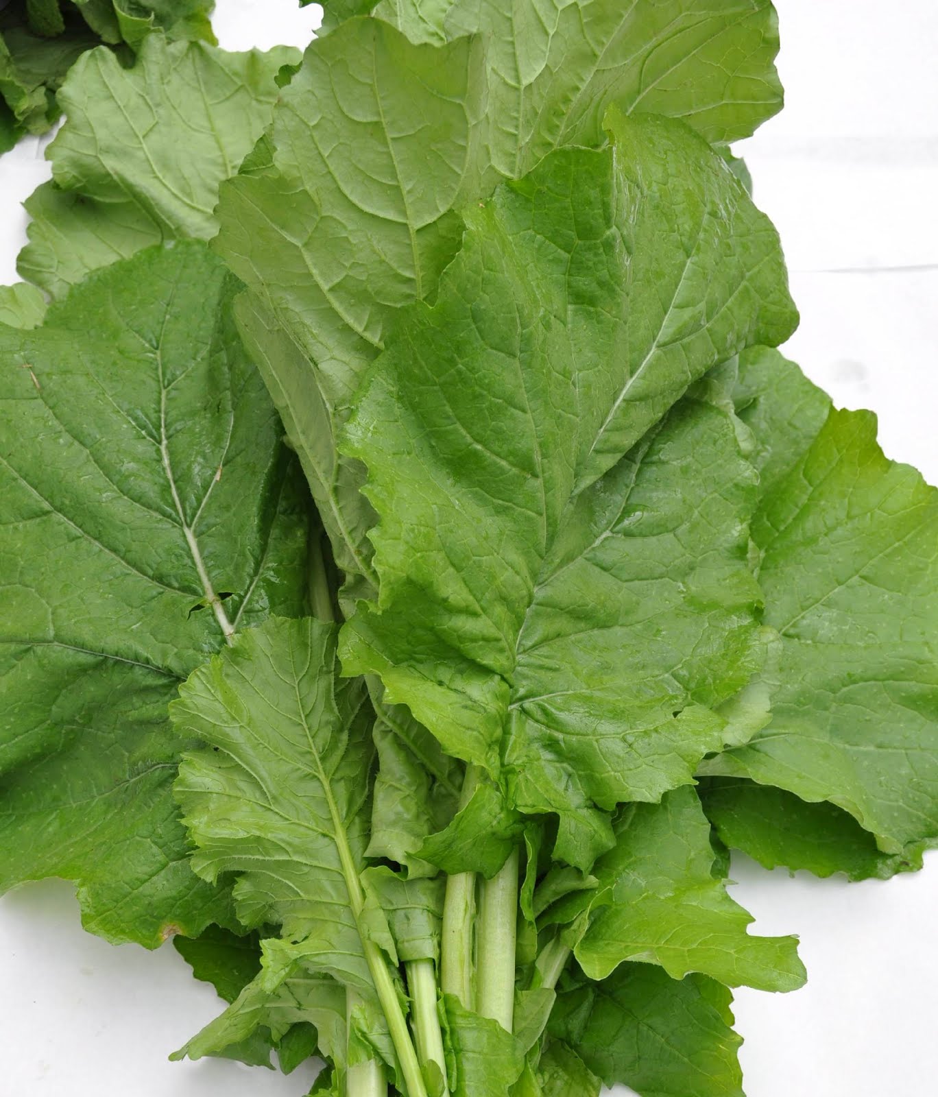 Cultura Ecolóxica: El grelo, una verdura sabrosa y sana