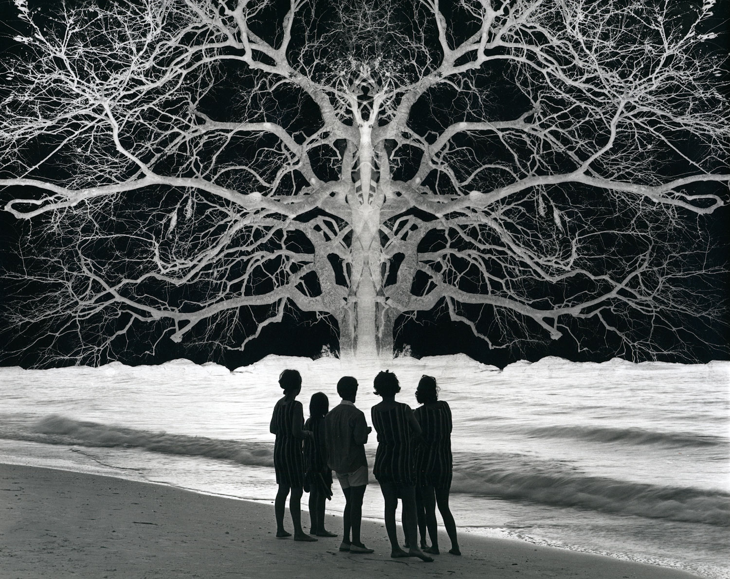 Anthony Luke's not-just-another-photoblog Blog: Photographer Profile ...