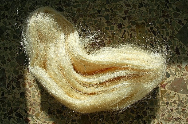 Proyecto ETNOCOR.: Cuerdas y torzales. La pita.