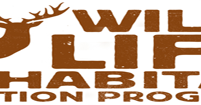 Warren County 4-H: WHEP - Amazing Amphibians