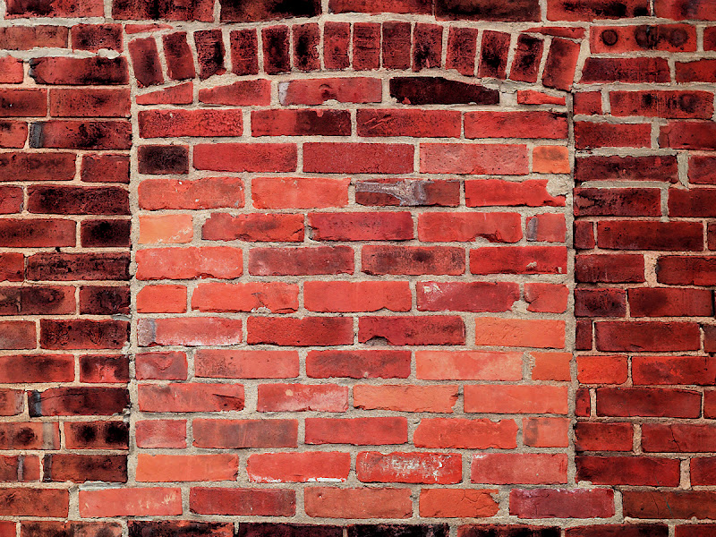 Virginia's Voice: Building Walls