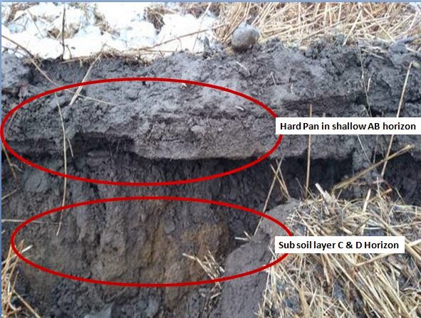 Better Crops by Barker: Tillage Anyone?