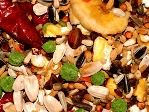 About African Grey Parrots: How to properly feed African Grey Parrot