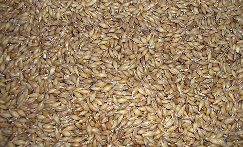 Il Gusto della Dieta: Orzo