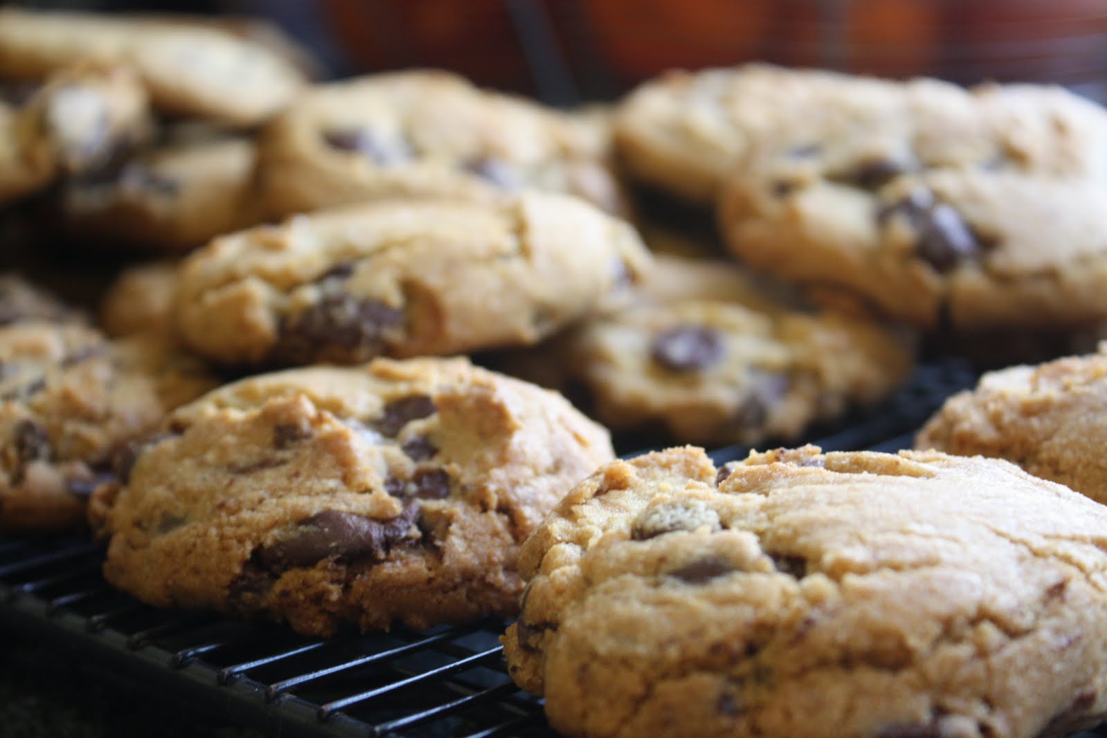 Circus Berry: One Fine Chocolate Chip Cookie