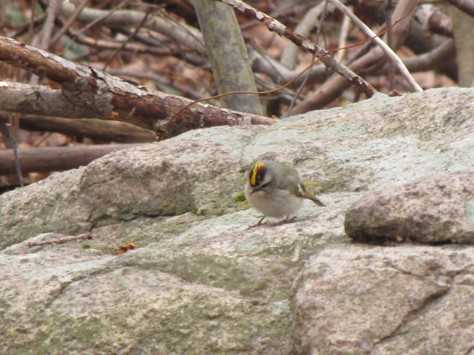 Circling the Smiling Pond: Marblehead Neck's heating up!