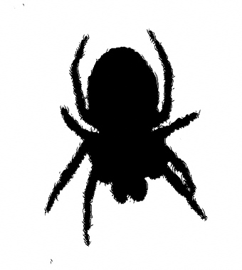 saraccino: Spider shadow stencil