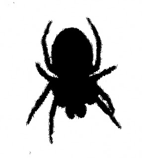 saraccino: Spider shadow stencil