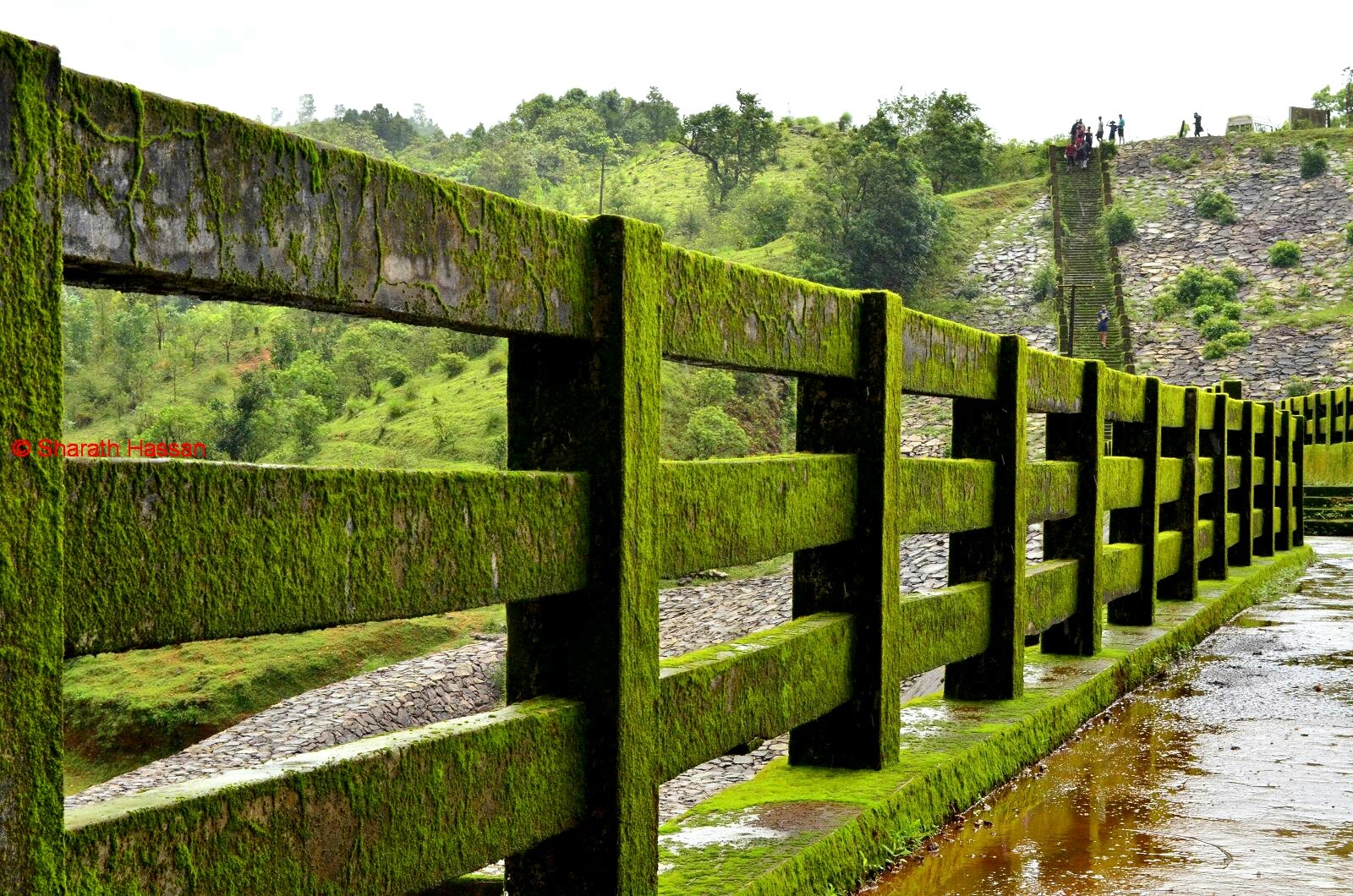 Sharath Hassan A Travelling Photographer: Savehaklu Reservoir, Nagara ...