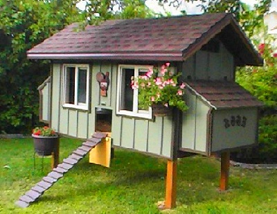 Gambar Model Kandang Ayam Sederhana, Minimalis, Unik hingga Modern ...