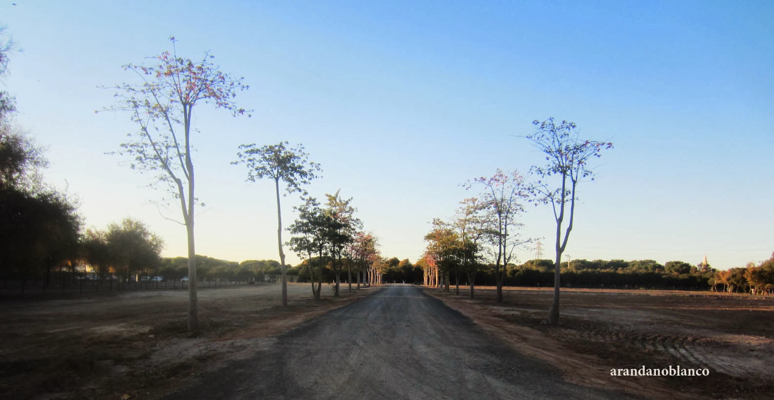 parquealamillo-encinarosa: Abiertos los nuevos accesos fluviales al ...