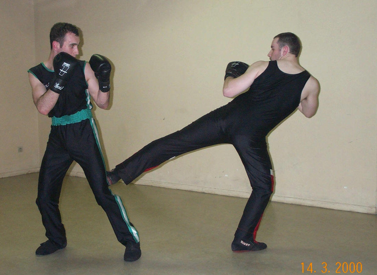 Club ARAMÁC Savate Boxeo Francés.: Tecnicas de SBF