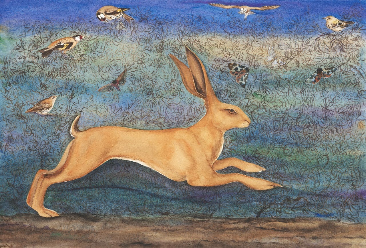 A thing of beauty is a joy forever: Jackie Morris