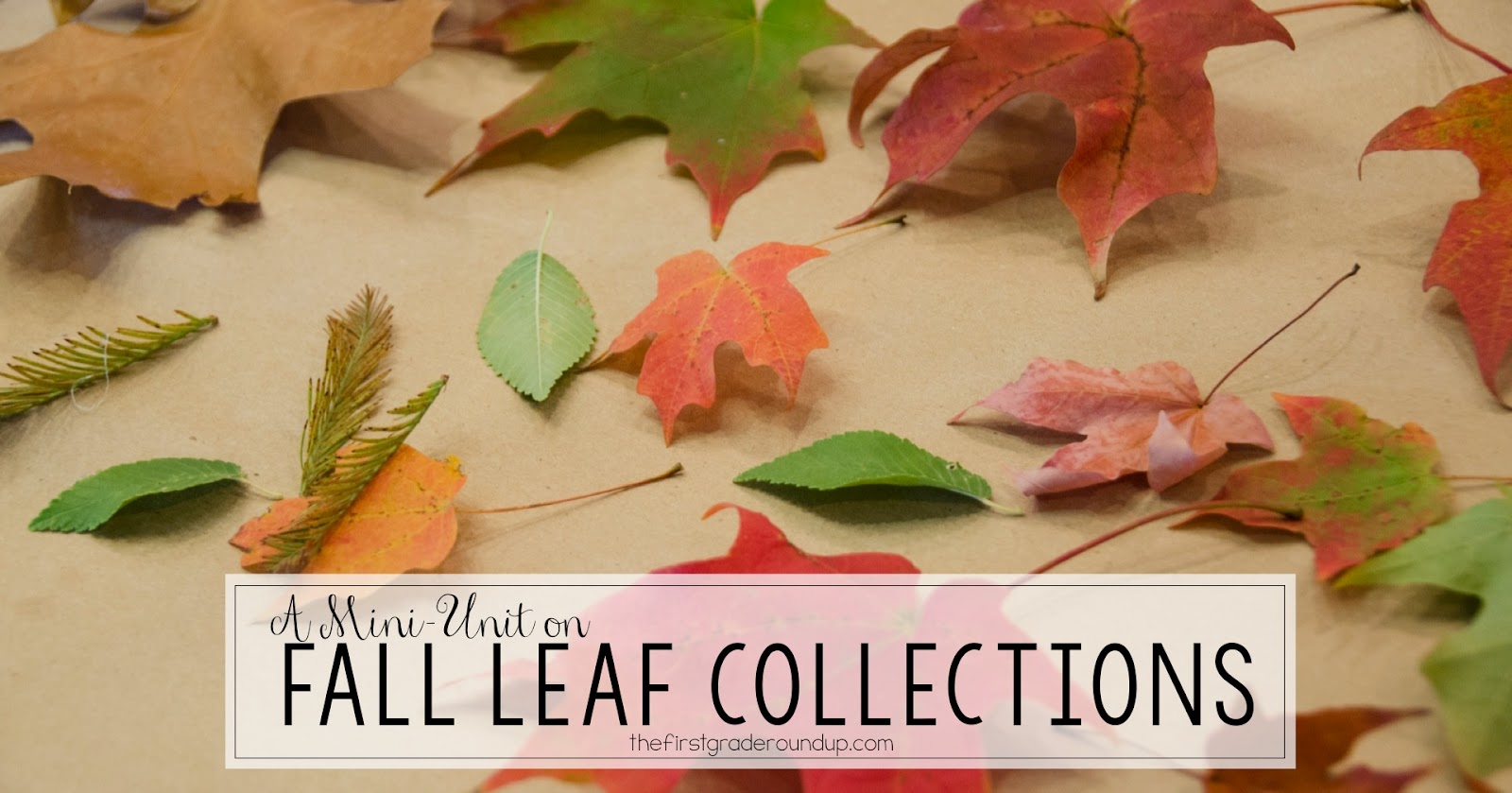 4 simple fall leaves preschool crafts & science activities - The First ...