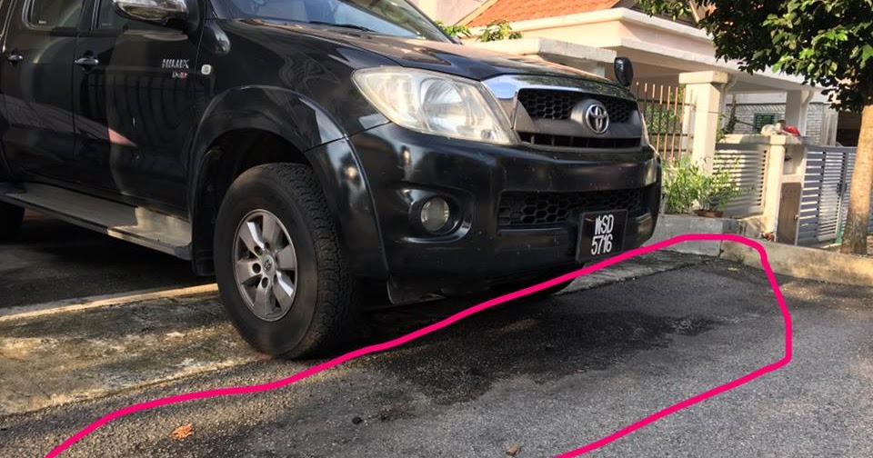 Cara Nak Elakkan Kucing Berak Merata Di Kawasan Rumah | pengetahuan am Cara Nak Elakkan Kucing Berak Merata Di Kawasan Rumah | pengetahuan am