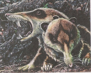 Arca dos Extintos: Cronopio dentiacutus