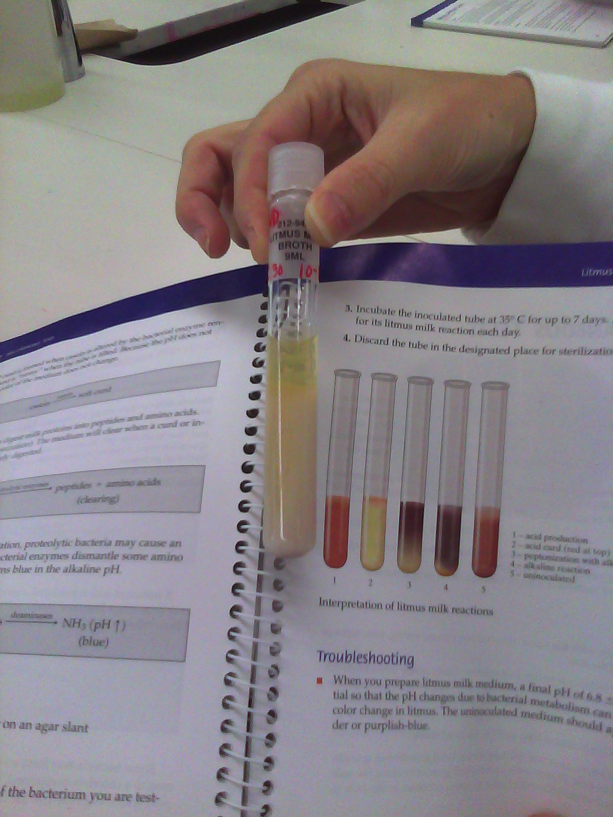 Microbiology Lab: Lab 10/25: Water Filtration Plant and tests