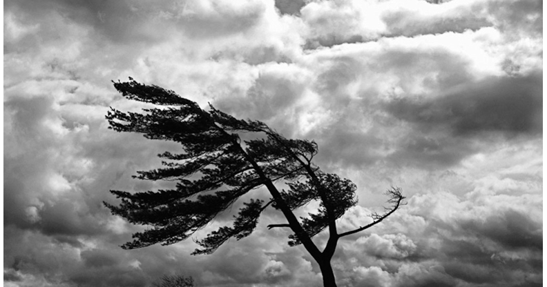 El observador: VARIABLES METEOROLÓGICAS: VIENTO Y HUMEDAD ATMOSFÉRICA