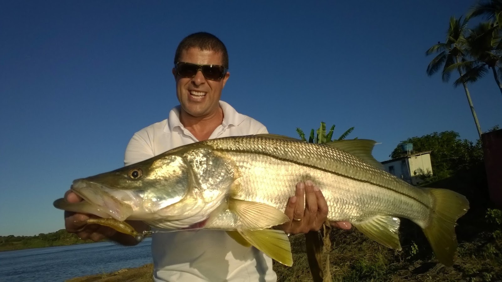 No Mar Profundo: Peixe Robalo Flecha - 02