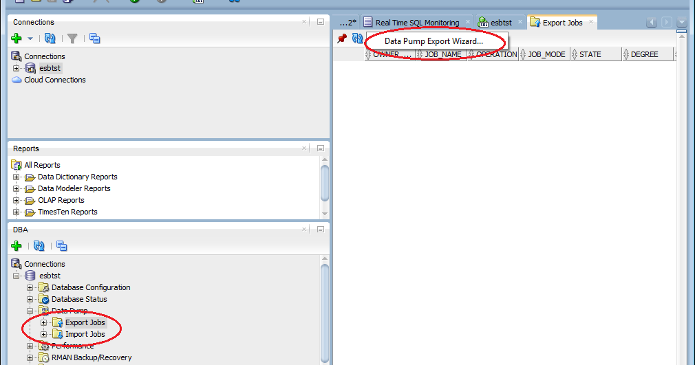Invoke Data Pump EXPDP IMPDP export / import Using SQL Developer