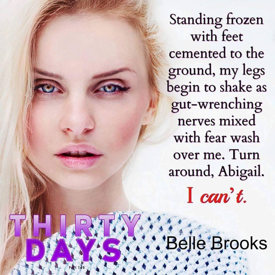 JaM Book Blog: Thirty Days: Part Two by Belle Brooks