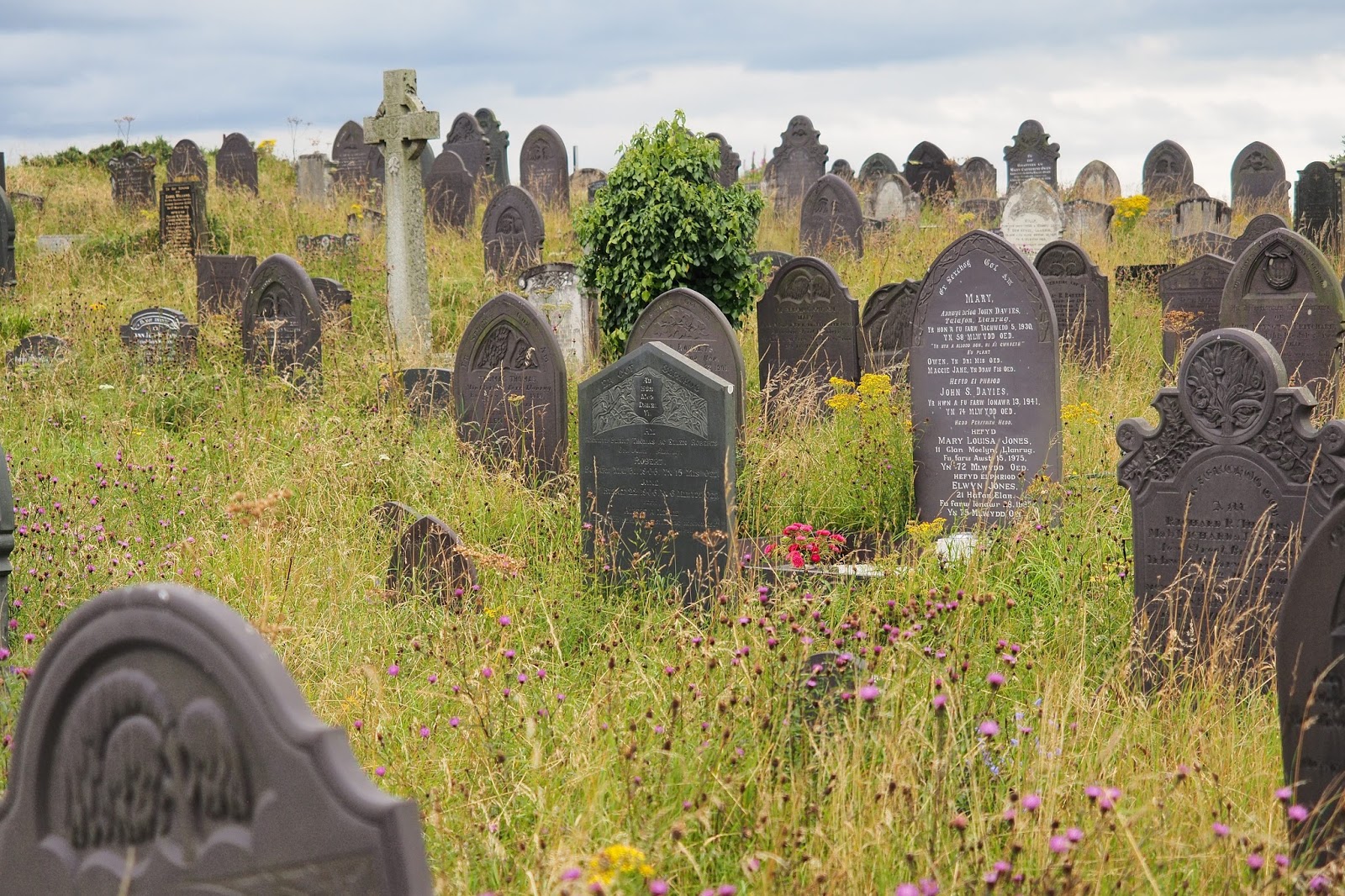 First Press of the Shutter: Mysterious image St Michaels cemetary ...