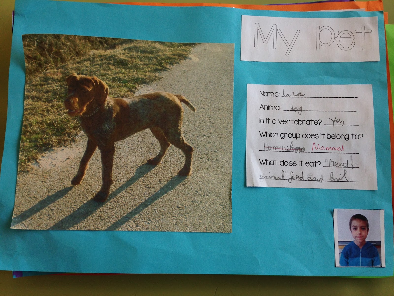 SCIENCE IN THE SCHOOL: October 2015