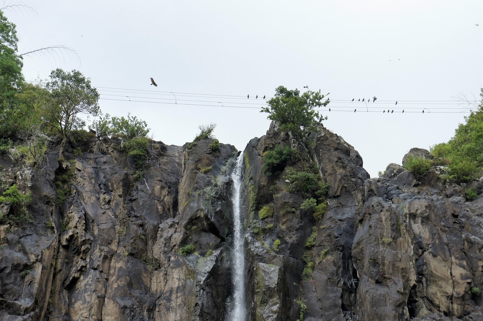 Françoise à la Réunion: CASCADE NIAGARA à STE-SUZANNE (1/5) à la Réunion,