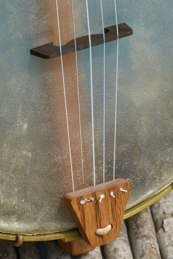 2000s Eric Prust 5-String Fretless Minstrel Banjo