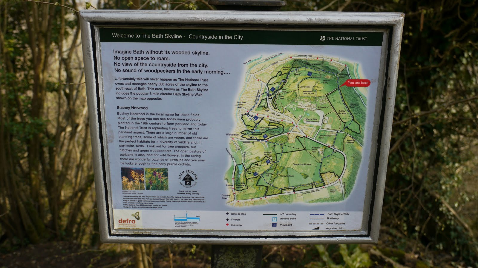 Bushey Norwood Bath - Britain All Over Travel Guide