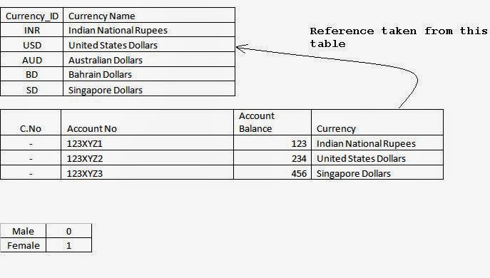 What is Dimension & Types of Dimensions with Examples - Terraligno