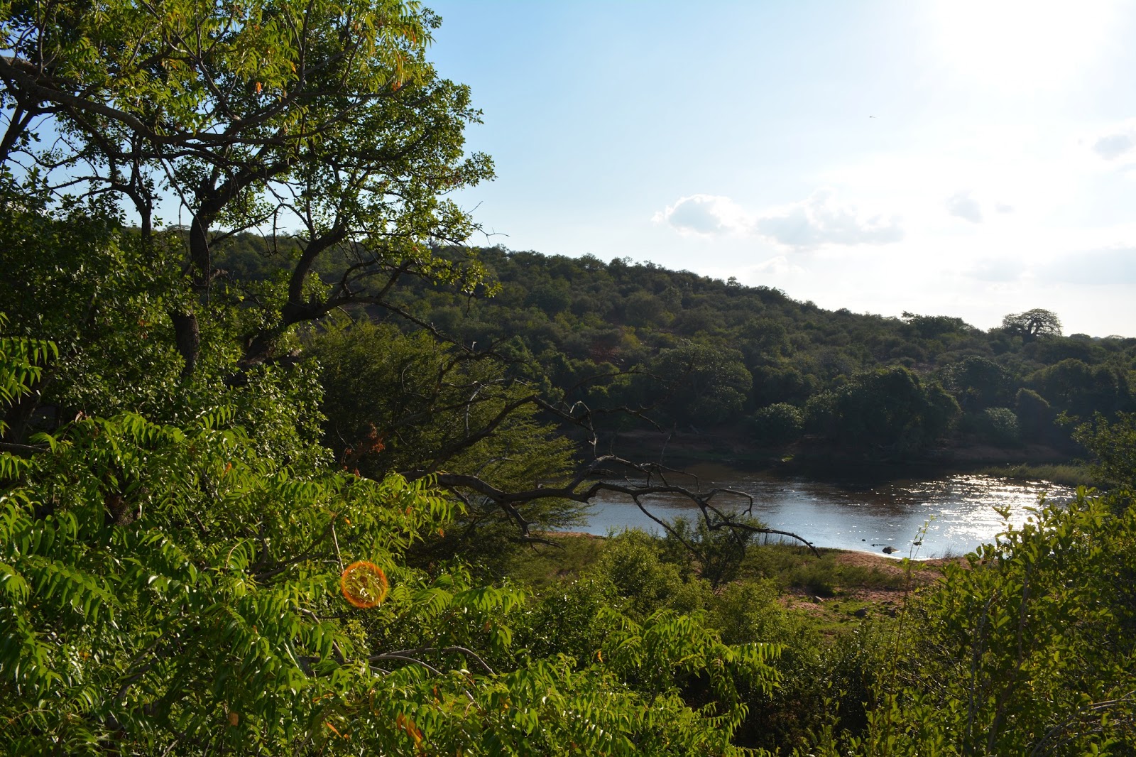 Do I Really Need That Rabies Shot...? : Kruger National Park--> Ha ...