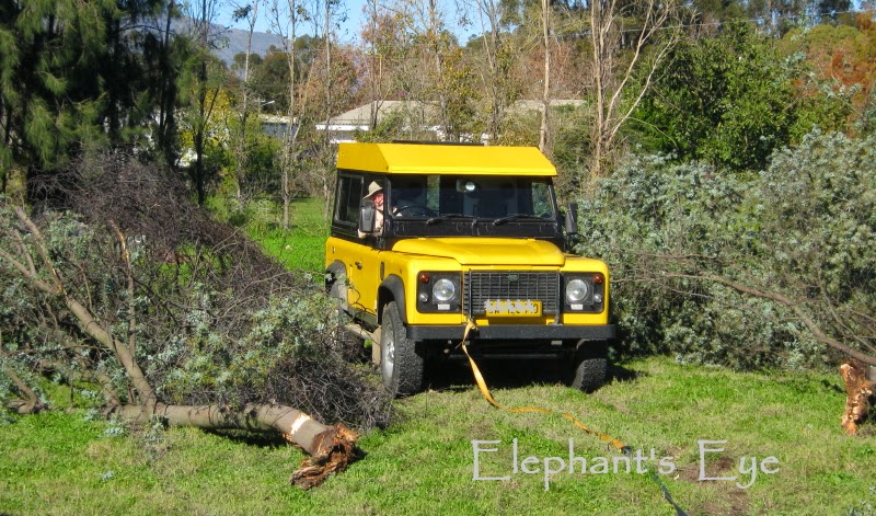 Elephant's Eye: Goodbye Elephant's Eye and Blotanical, we are in False Bay