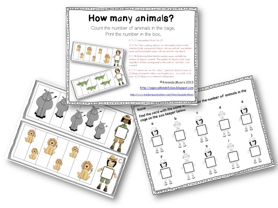 A special kind of class: New Zoo Math Unit