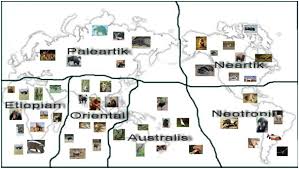 wilayah persebaran fauna di dunia