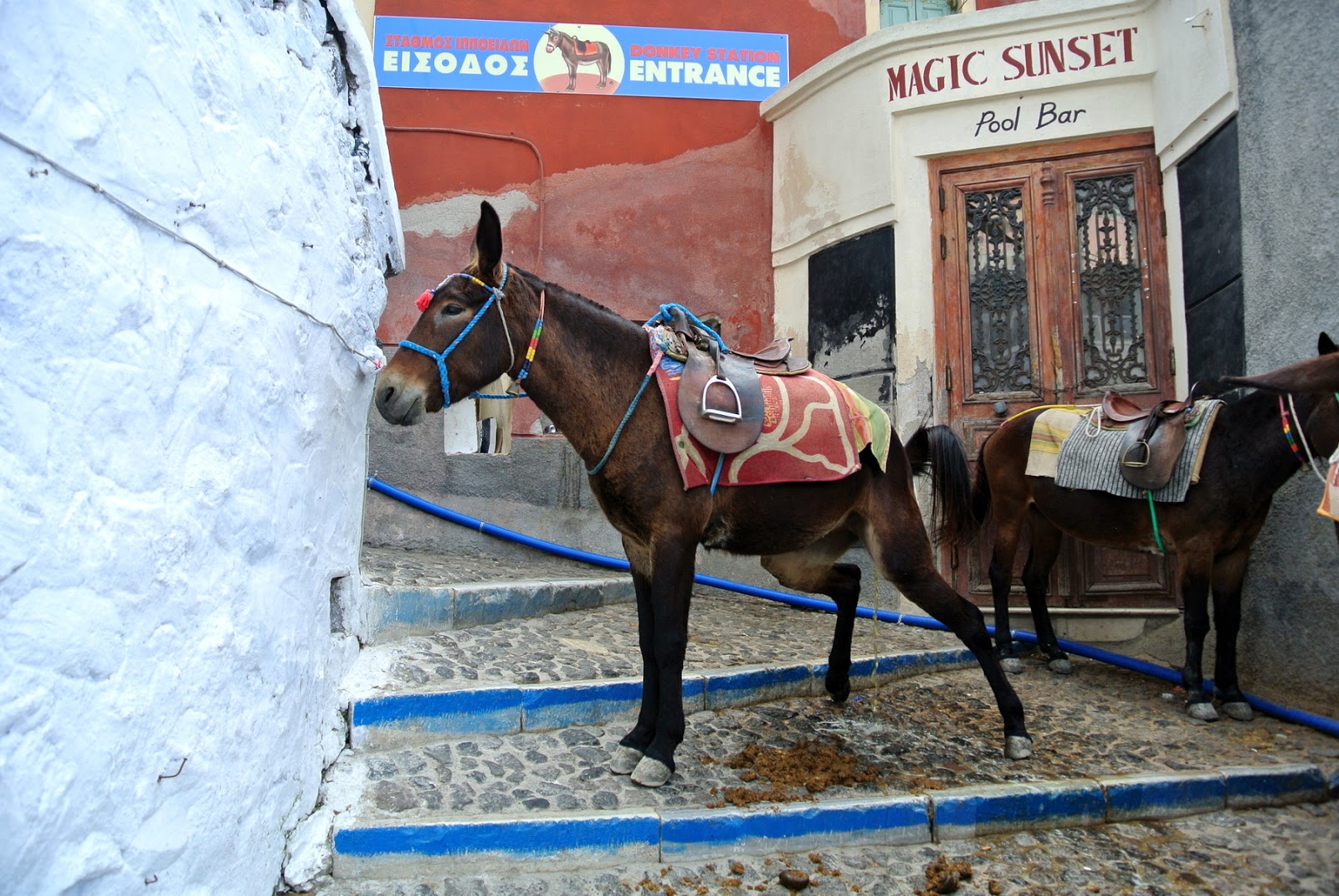 voyager avec KN: Donkey rides and AAR