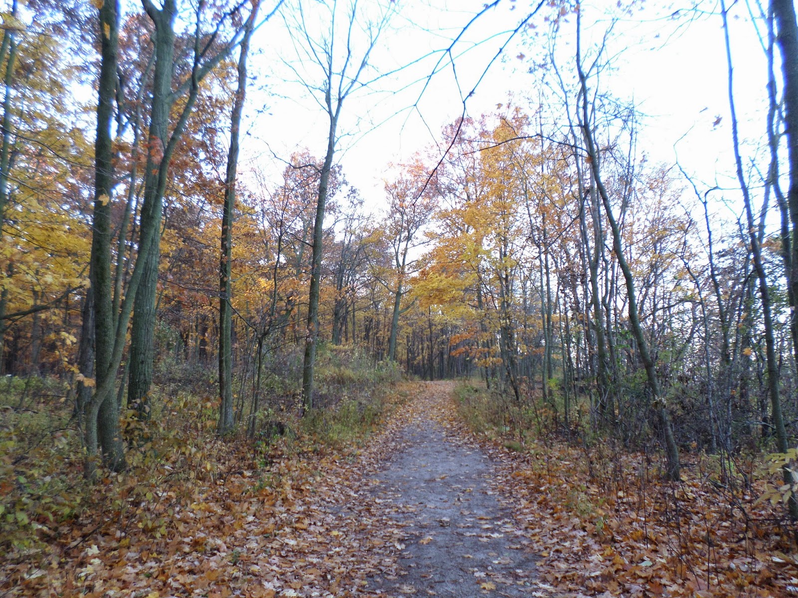 Mama's Basecamp: Camping at High Cliff State Park