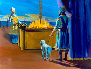 Grafted-In Theological Musings: June 2013