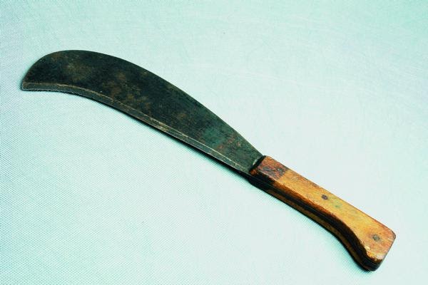 French Vocabulary Illustrated: serpe