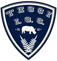 REDES INALAMBRICAS TESCI ISC: REDES INALAMBRICAS GLOBALES O WWAN ...