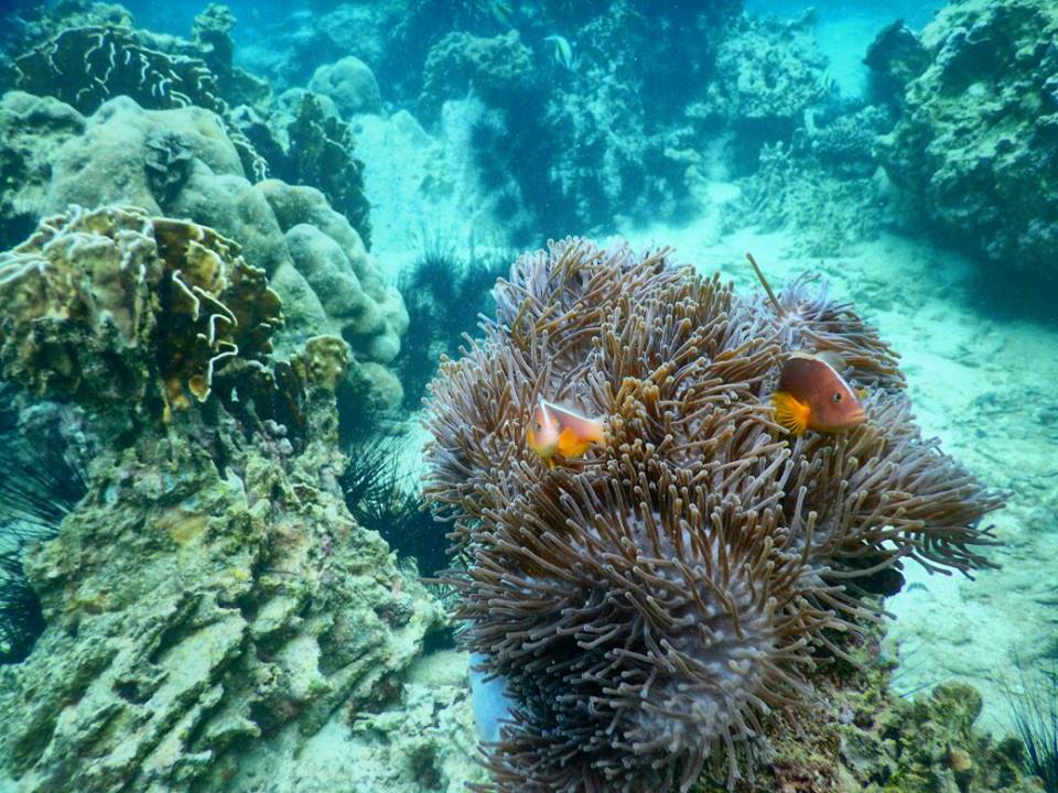 Pulau Rubiah Sabang - Aceh