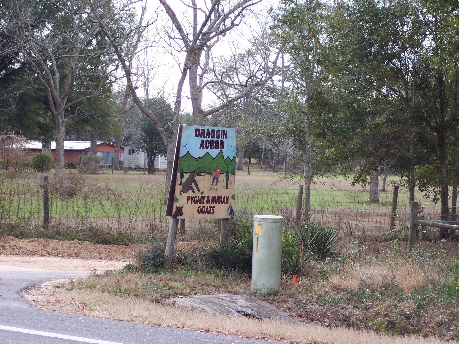 Hiking The Florida Trail: Hike 5: Holt, FL through Crestview to Eglin ...