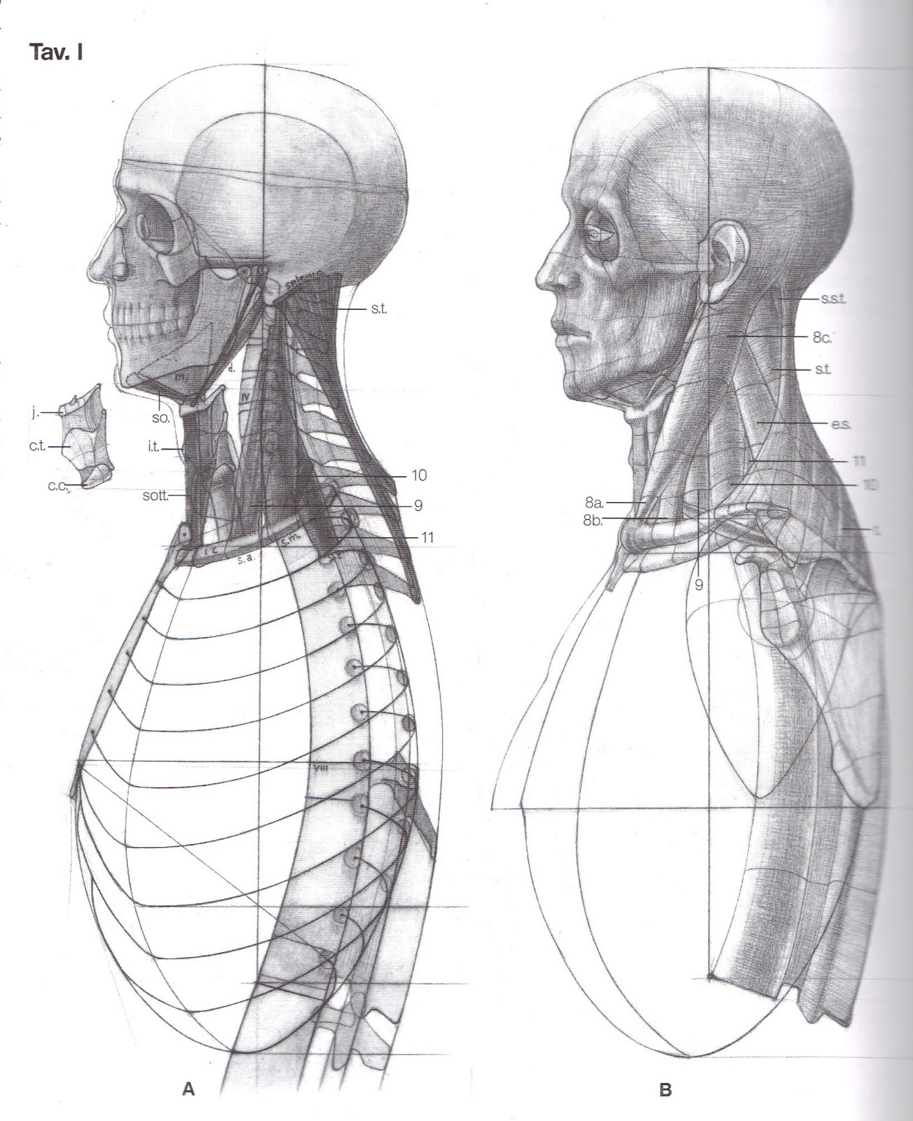 Foundation Figure: Day 15 - Neck