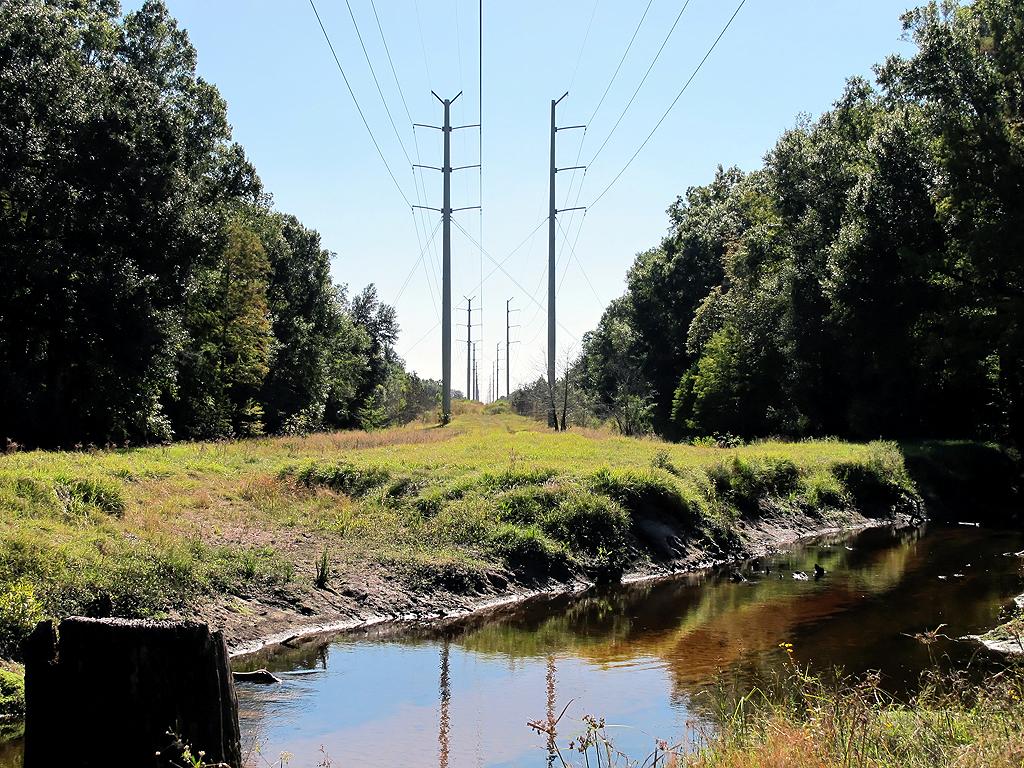 Florida Hikes and Other Outdoor Information : Econlockhatchee River ...